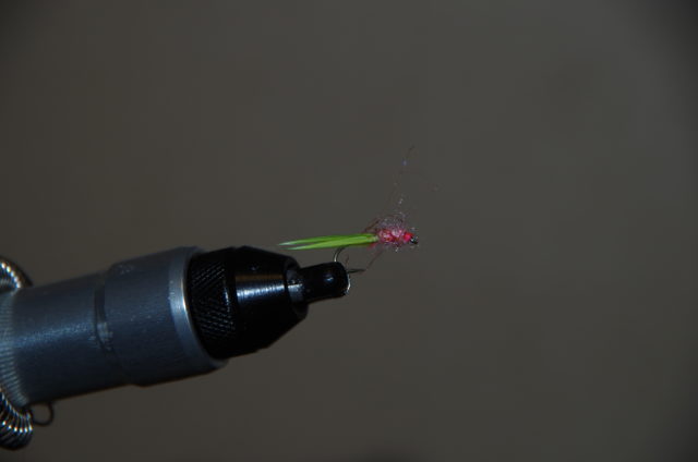 The Pin Fry Fly: A Study in Biots – BlogFlyFish.com