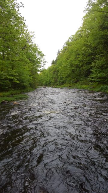 Overview: the Souhegan River – BlogFlyFish.com