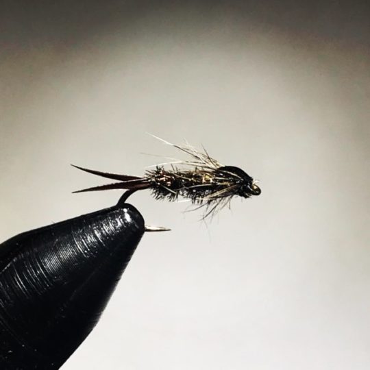 At the Vise: Winter Stoneflies/Snowflies – BlogFlyFish.com