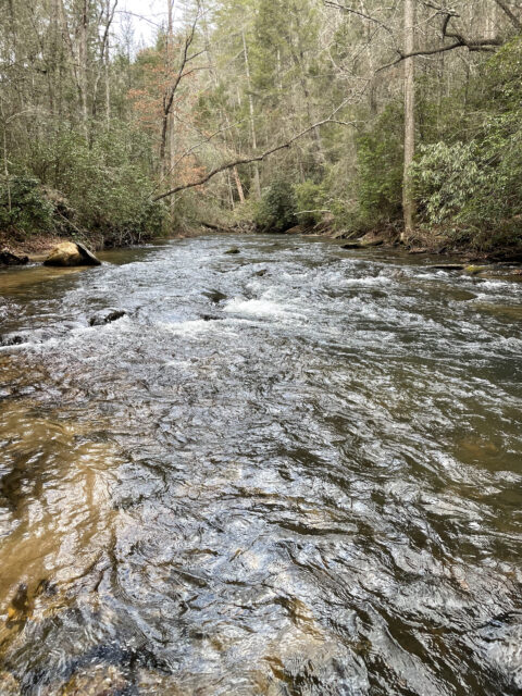 Homecoming on the Soque River – BlogFlyFish.com